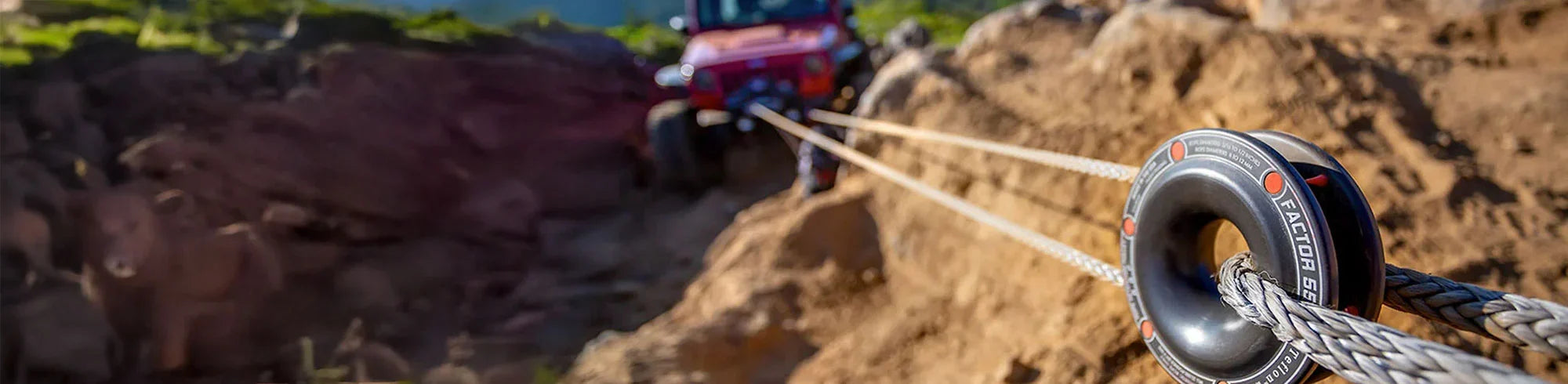 Recovery Accessories – Page 2 – Factor55